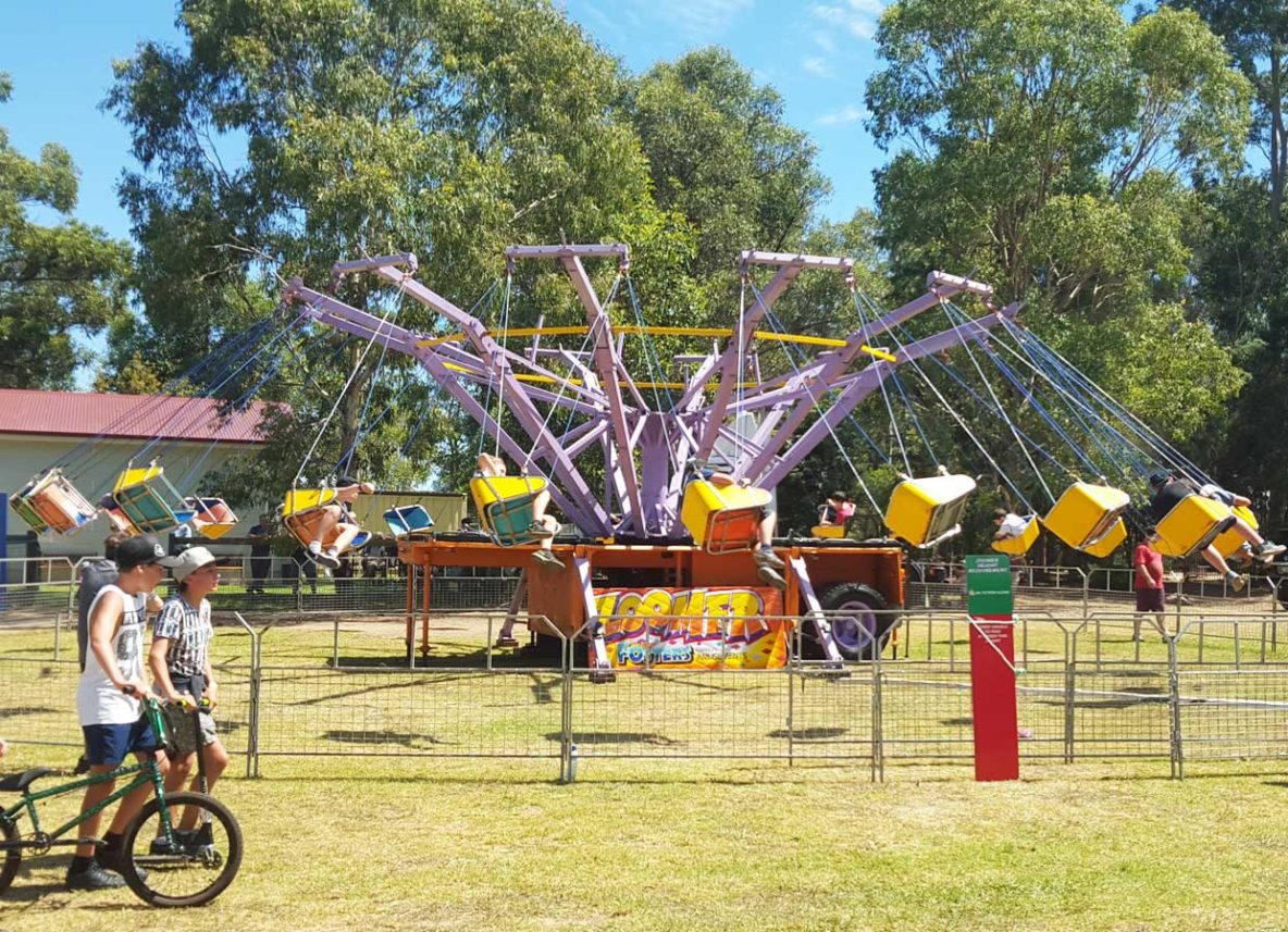 Wild Rider - Jubilee Amusements
